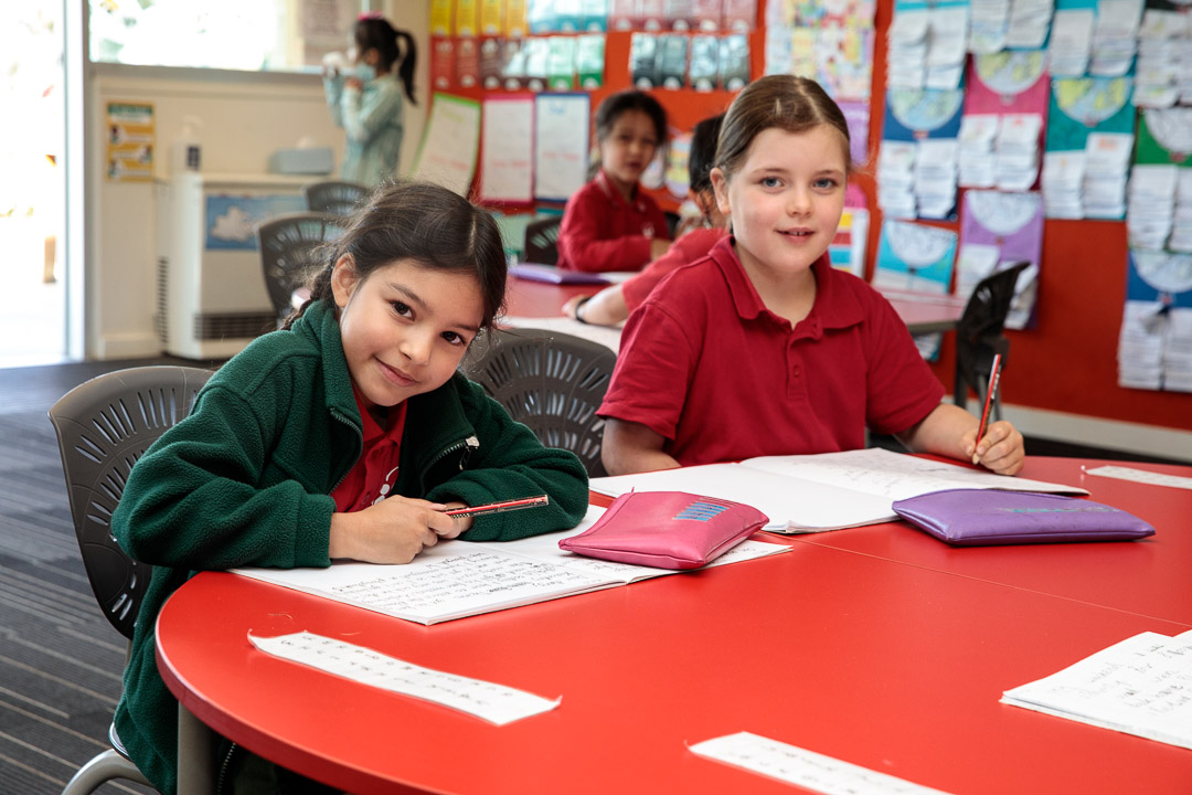 2024 Prep Enrolments